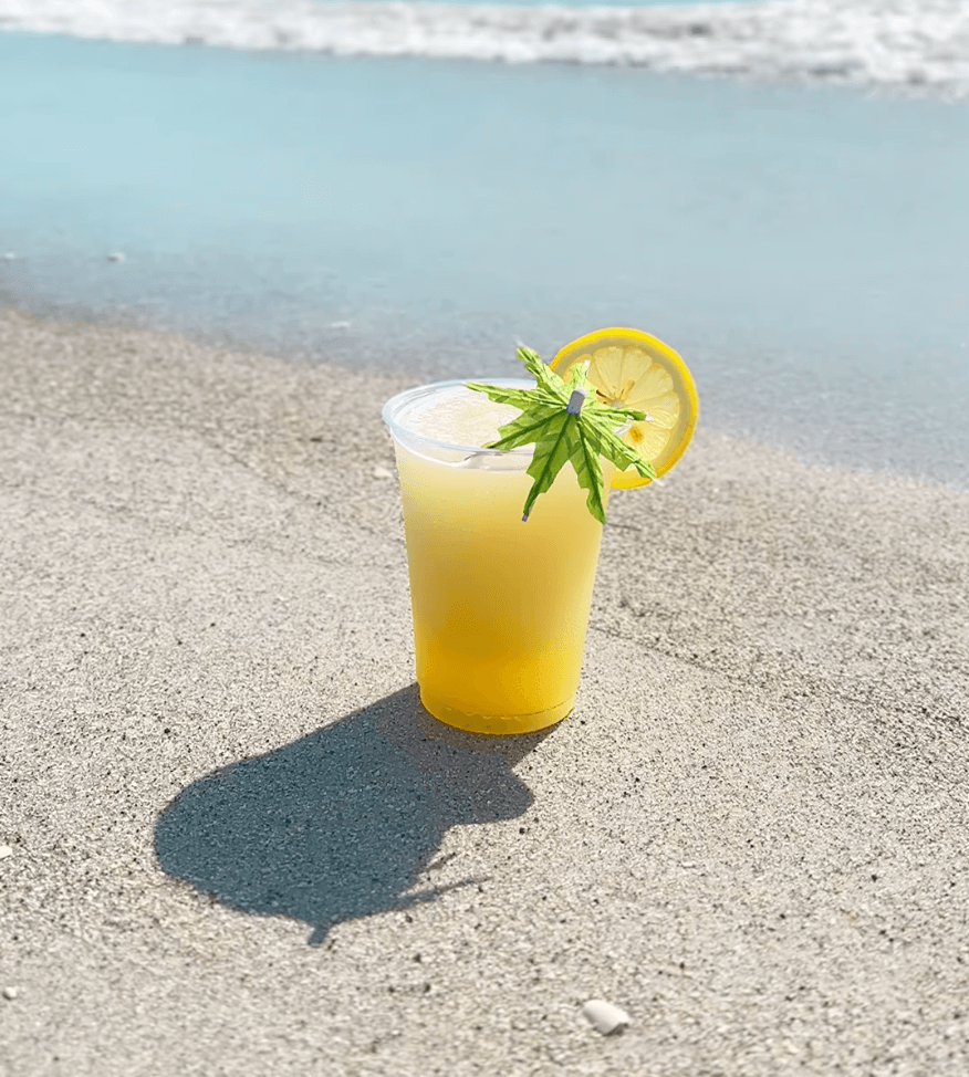 Manasota Key Resort Gallery - Manasota Key Resort
