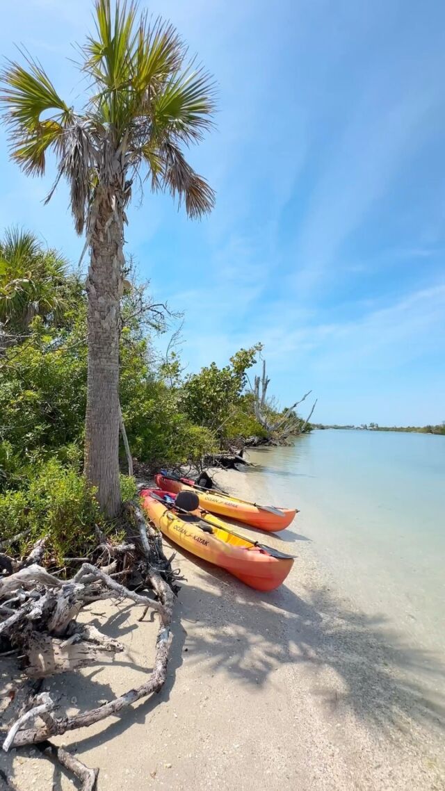 Contact Us - Manasota Key Resort